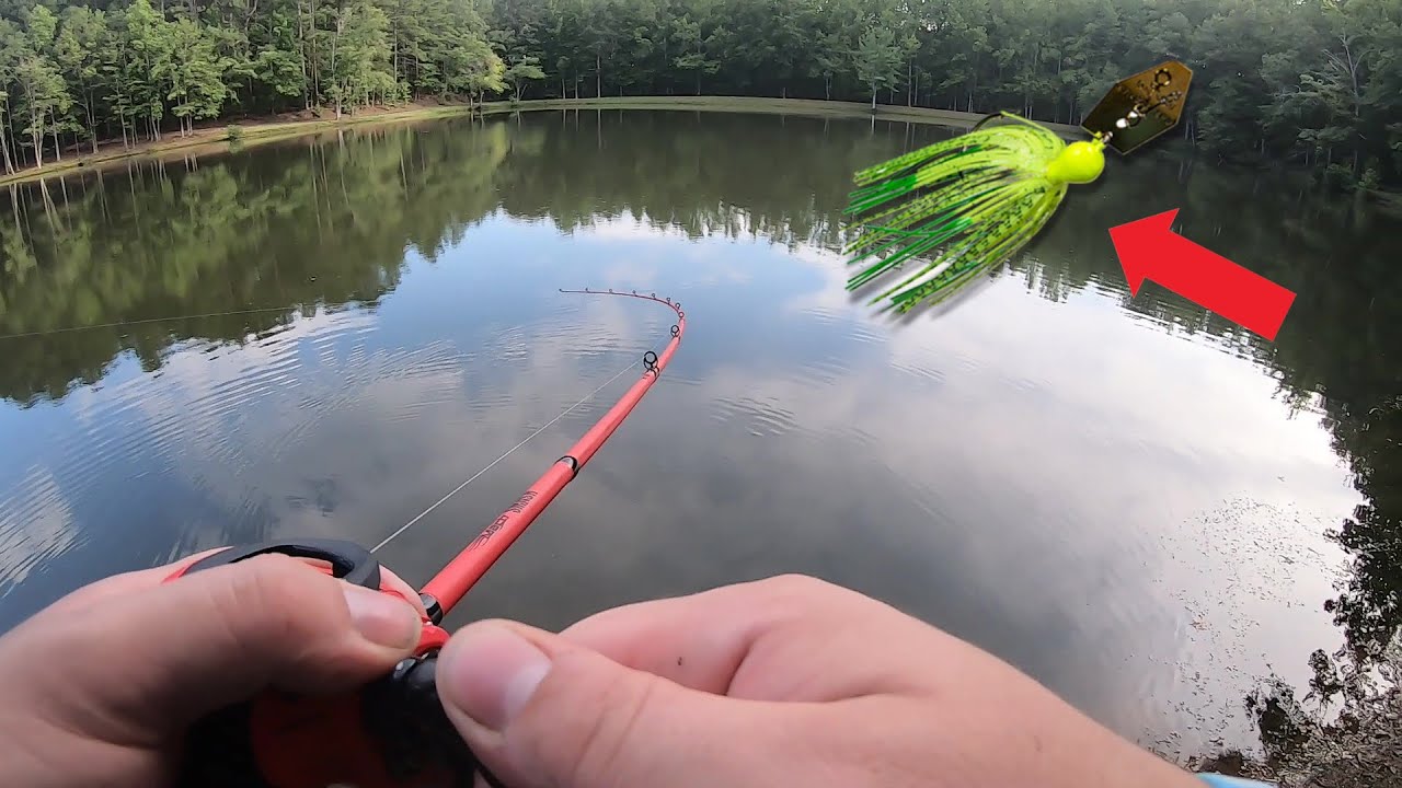 This Lure Catches BIG Bass!! (Chatterbait Fishing!) - YouTube