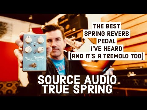 STOMP BOX STEALS: REVERB- SOURCE AUDIO True Spring ...simply the best!!!