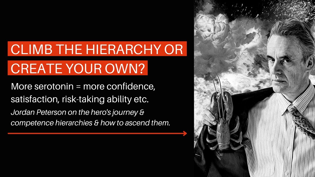 Ascending Competence Hierarchies Guide Jordan Peterson My Thoughts ascending-competence-hierarchies-guide-jordan-peterson-my-thoughts