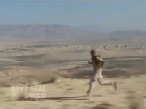 Run Seal Run - YouTube