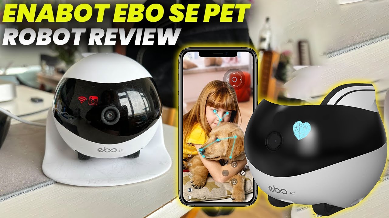 Enabot Ebo SE pet robot review 2024: Tiny Robot, Big Fun for Pets - YouTube