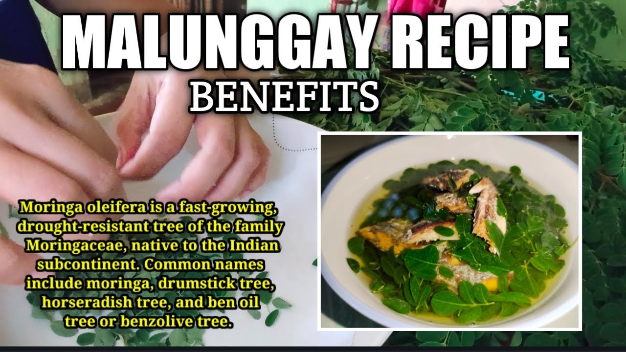 Malunggay with fried fish soup/Utan Bisaya/Moringa benefits - YouTube