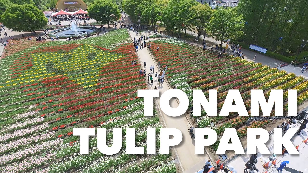 Japan Travel - Tonami Tulip Park - Best place to see tulips - YouTube