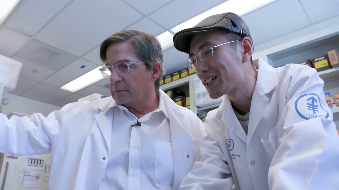 The Science of DNA Repair: How Cells Stay Healthy | Inside My Lab at ...