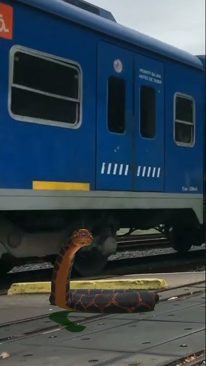 Giant Anaconda Vs High speed train | Angry snake stops the train#shorts ...