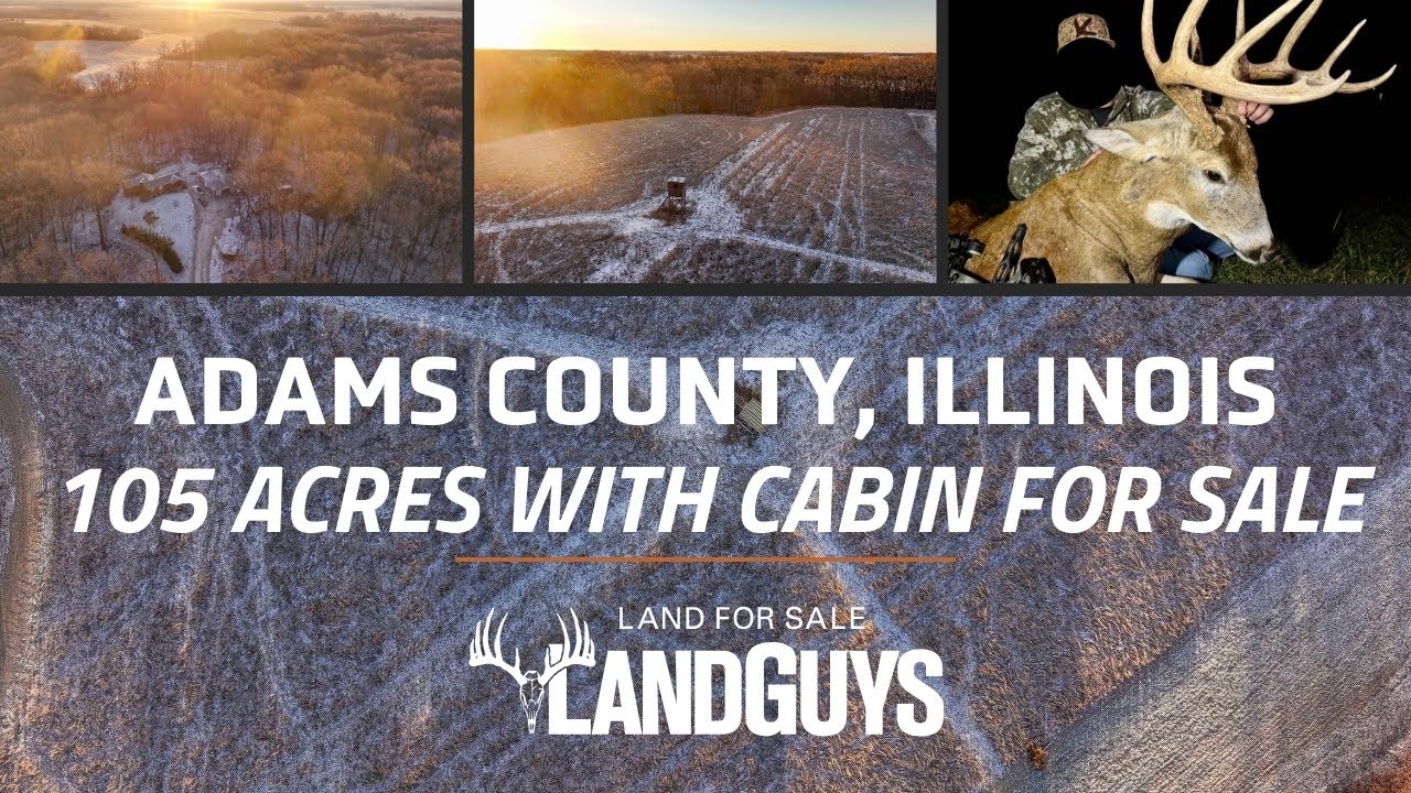 Secluded hardwood acreage with a cabin, strong wildlife, and practical ...