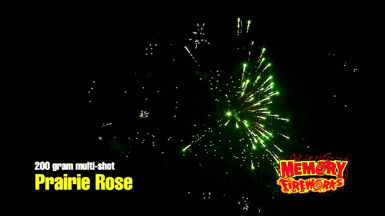 Prairie Rose - 2014 - YouTube