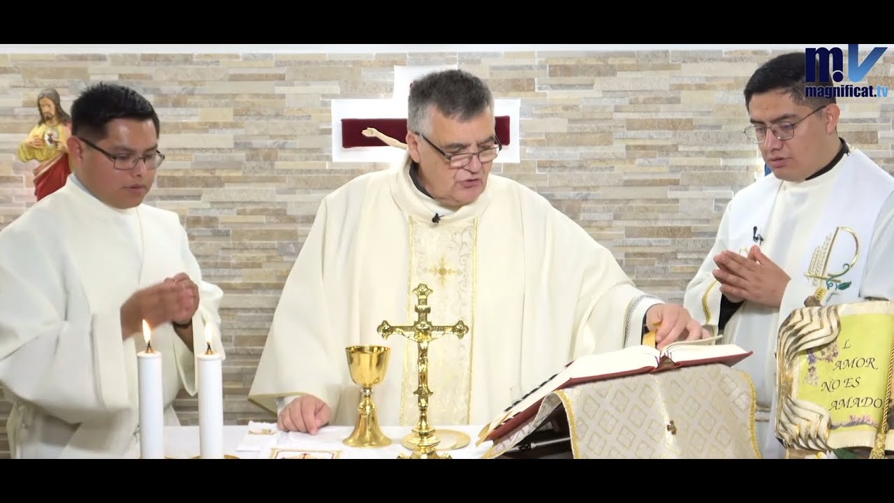 La Santa Misa de hoy | San Martín de Porres, religioso | 03-11-2023 | P. Santiago Martín, FM ...