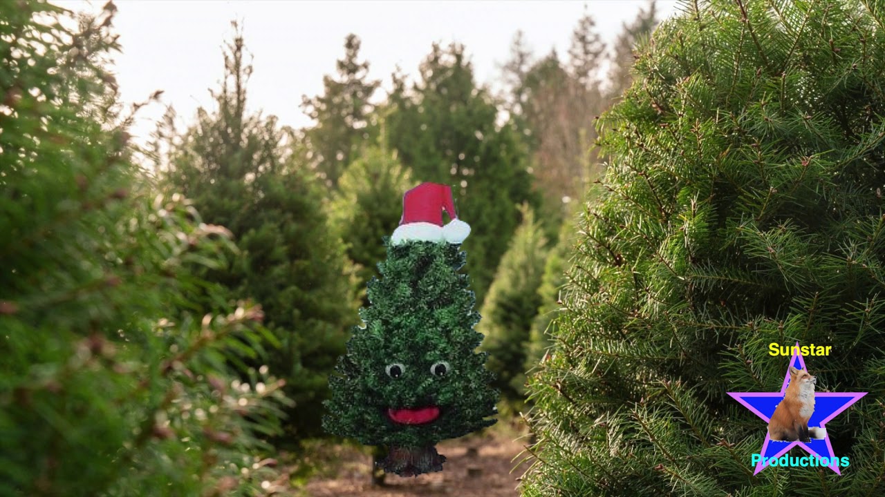 Wild Douglas Fir - YouTube
