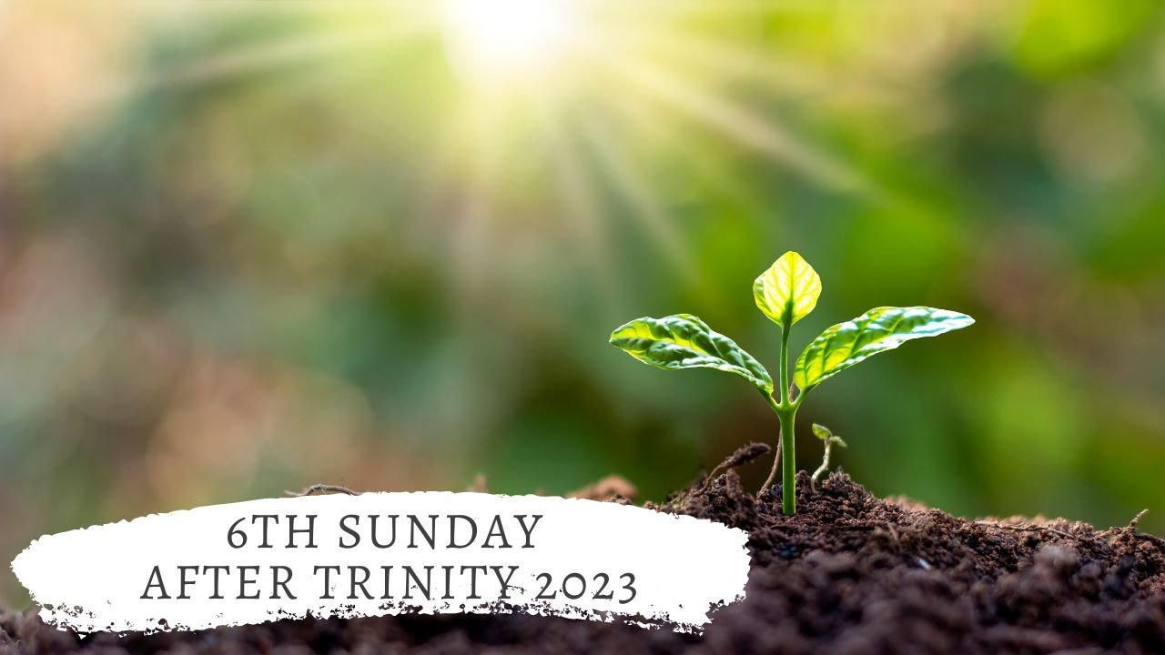 The ground that bears fruit 6th Sunday after Trinity 2023 - YouTube