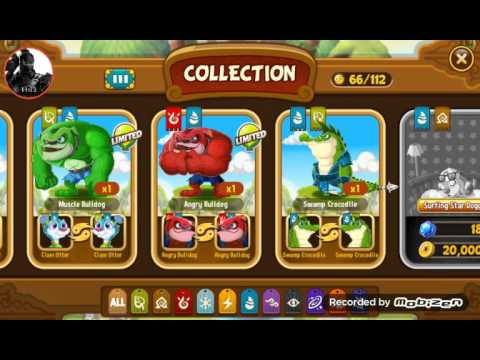 Showing my Kung fu Pets - YouTube
