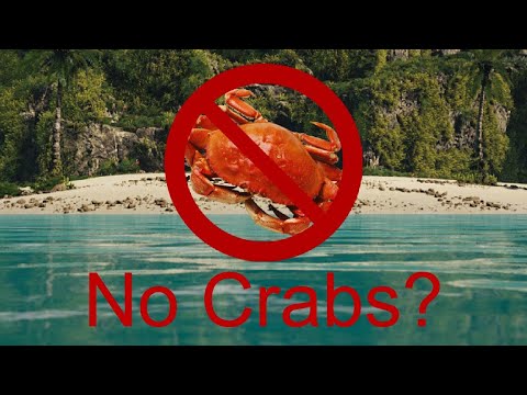 Crab rave but theres NO CRABS?