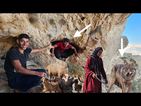 🐺 Wolves Near the Herd! Nomadic Family Mountain Adventure ⛰️