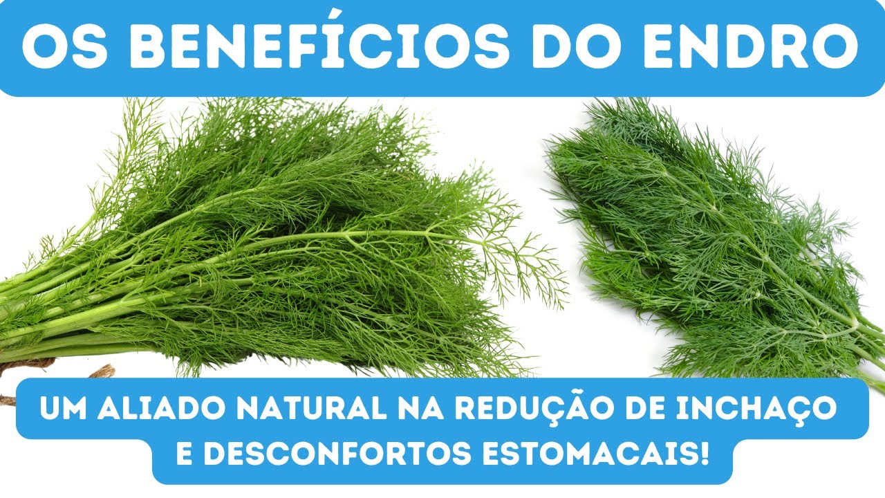 ENDRO - 12 BENEFÍCIOS EXTRAORDINÁRIOS DO ENDRO QUE VOCÊ PRECISA ...