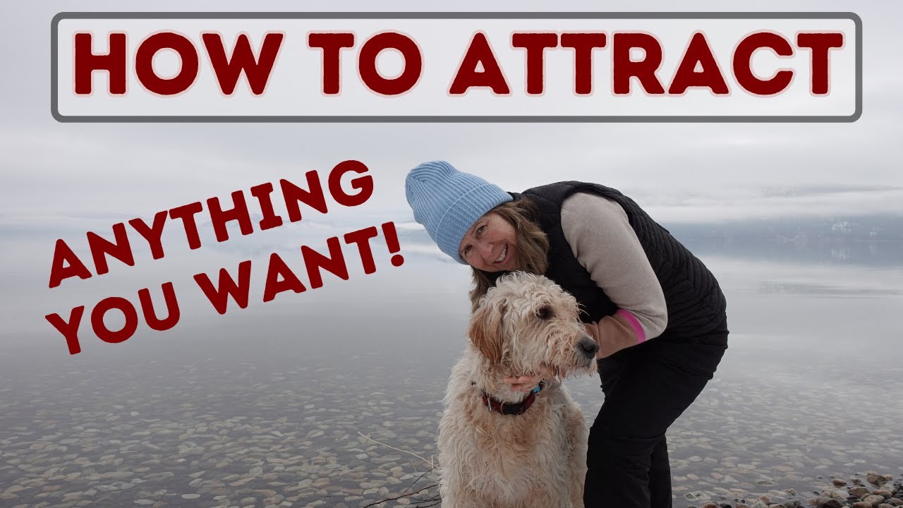 How to ATTRACT anything you want! Attract a Love Interest. Attract ...
