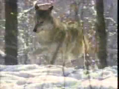 KYVE/PBS promos, 9/21/1992 - YouTube