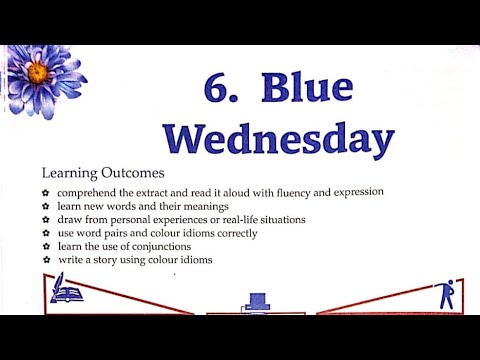 Blue Wednesday Story Explanation In Hindi | By Jean Webster | New Aster ...