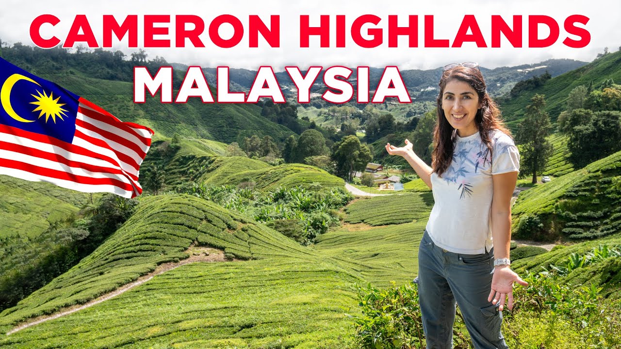 Best Things To Do in Cameron Highlands | Malaysia Travel Vlog (EP 2 ...