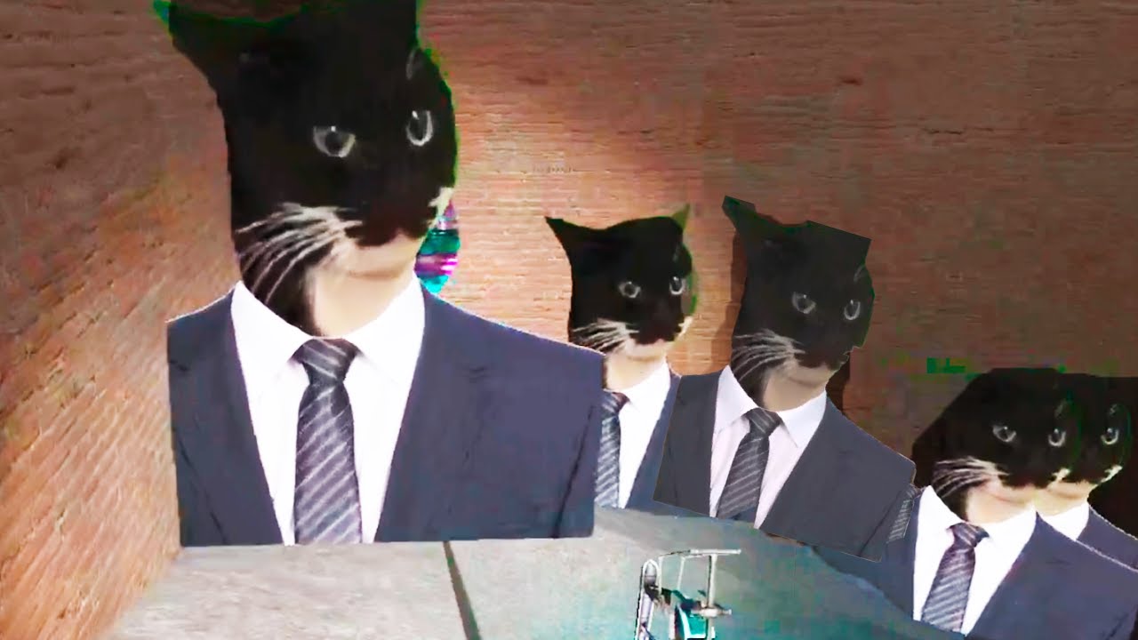Big army Maxwell cats in maze - YouTube