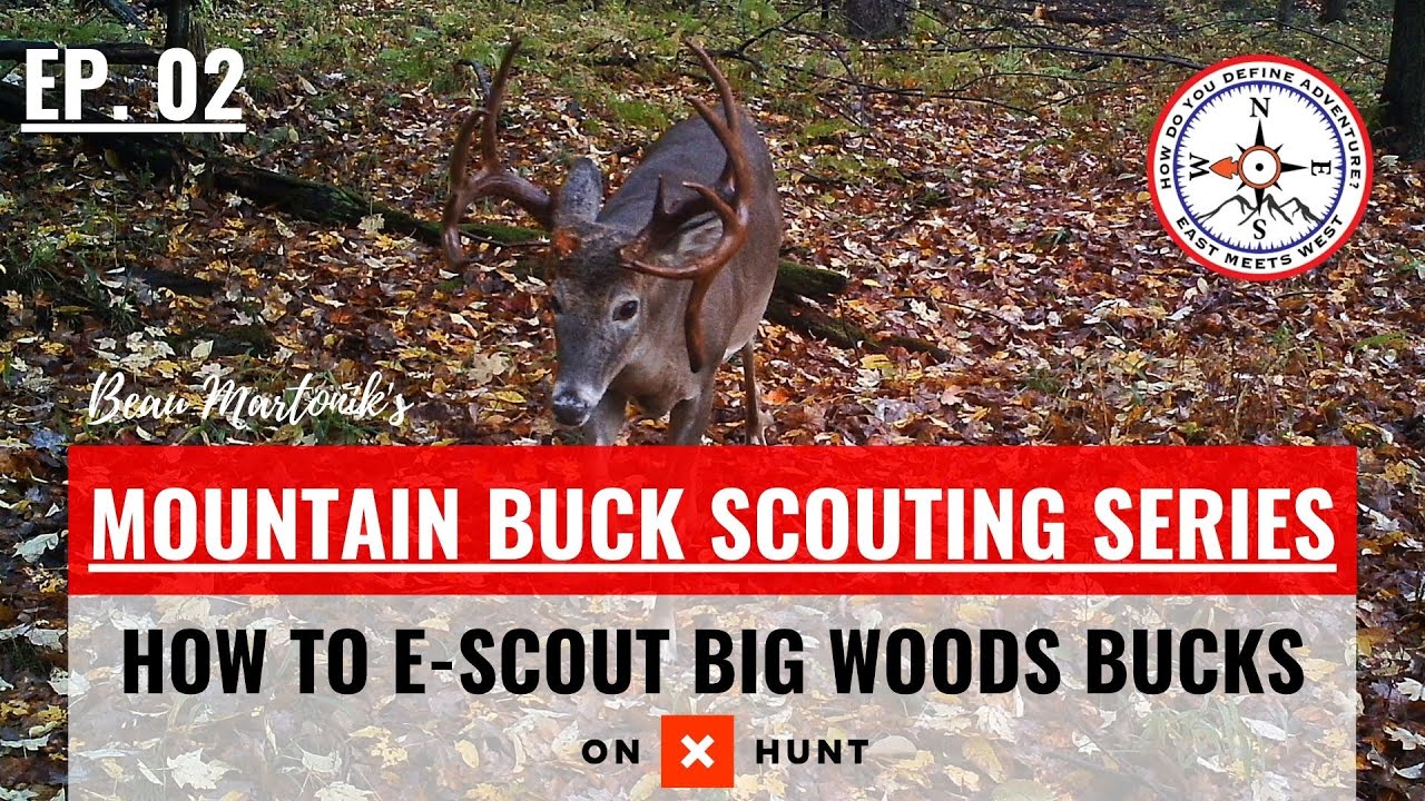 HOW TO E-SCOUT BIG WOODS BUCKS | Mountain Buck Scouting Series - YouTube