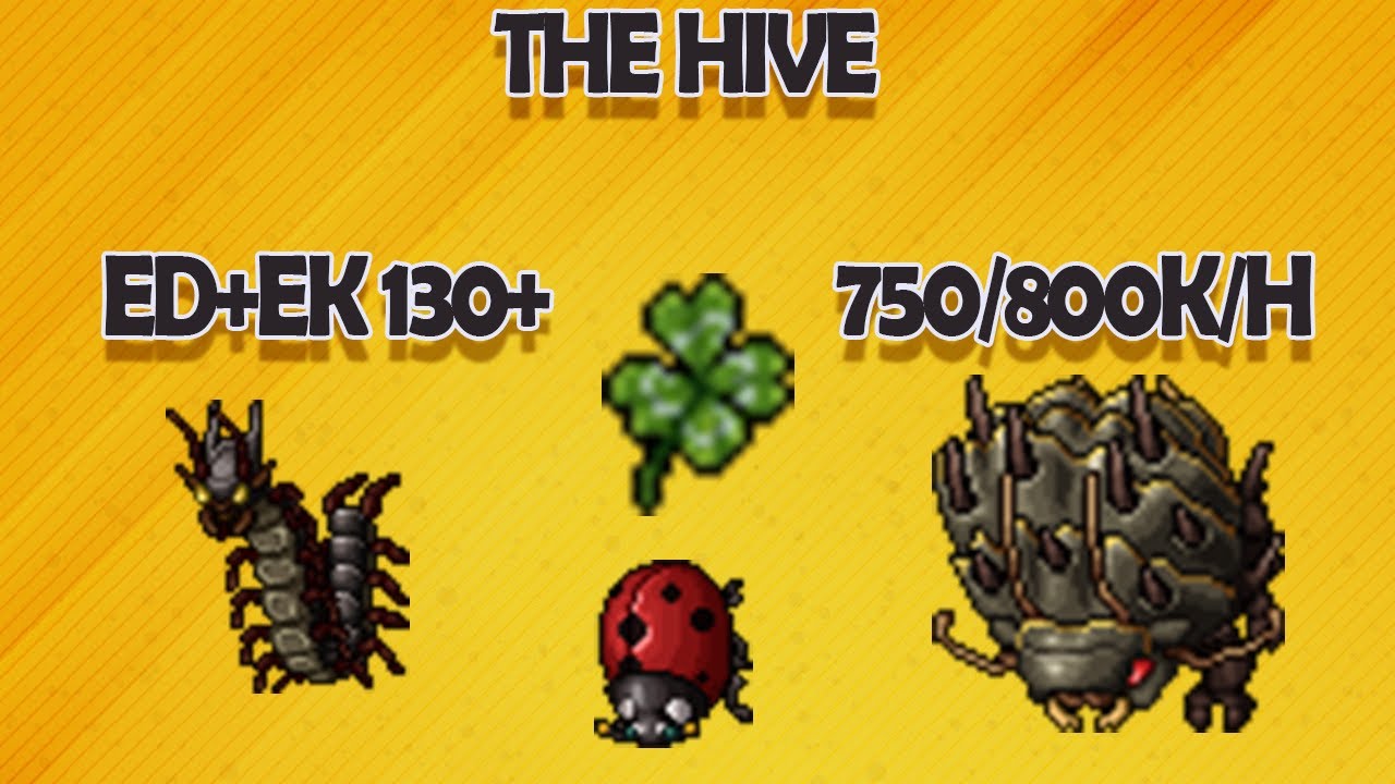 Tibia- The Hive Hunt (EK/ED 130+) - YouTube
