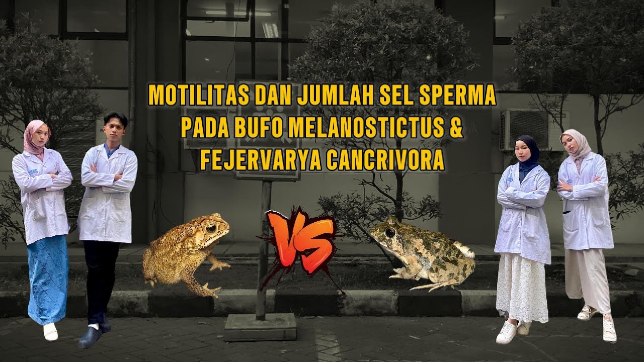 Motilitas dan Jumlah Sel Sperma Pada Katak dan Kodok - YouTube