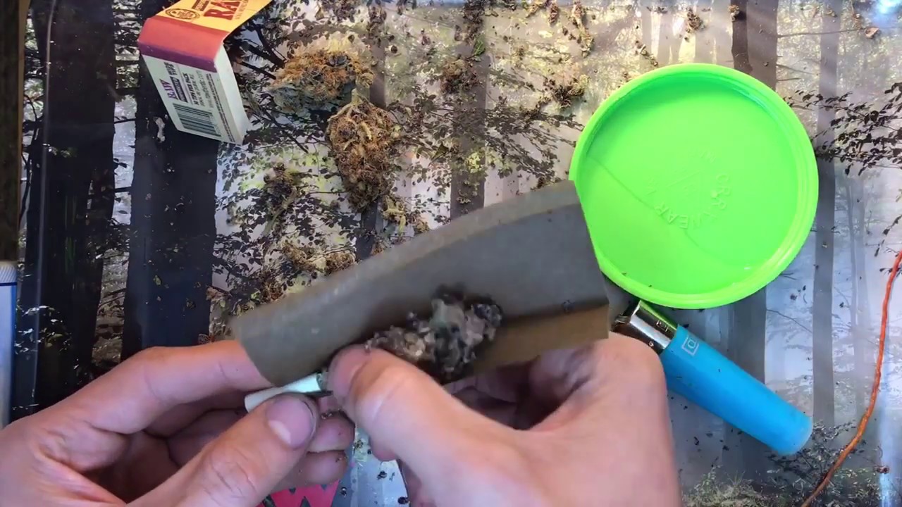 How To Roll A Hemp Blunt - YouTube
