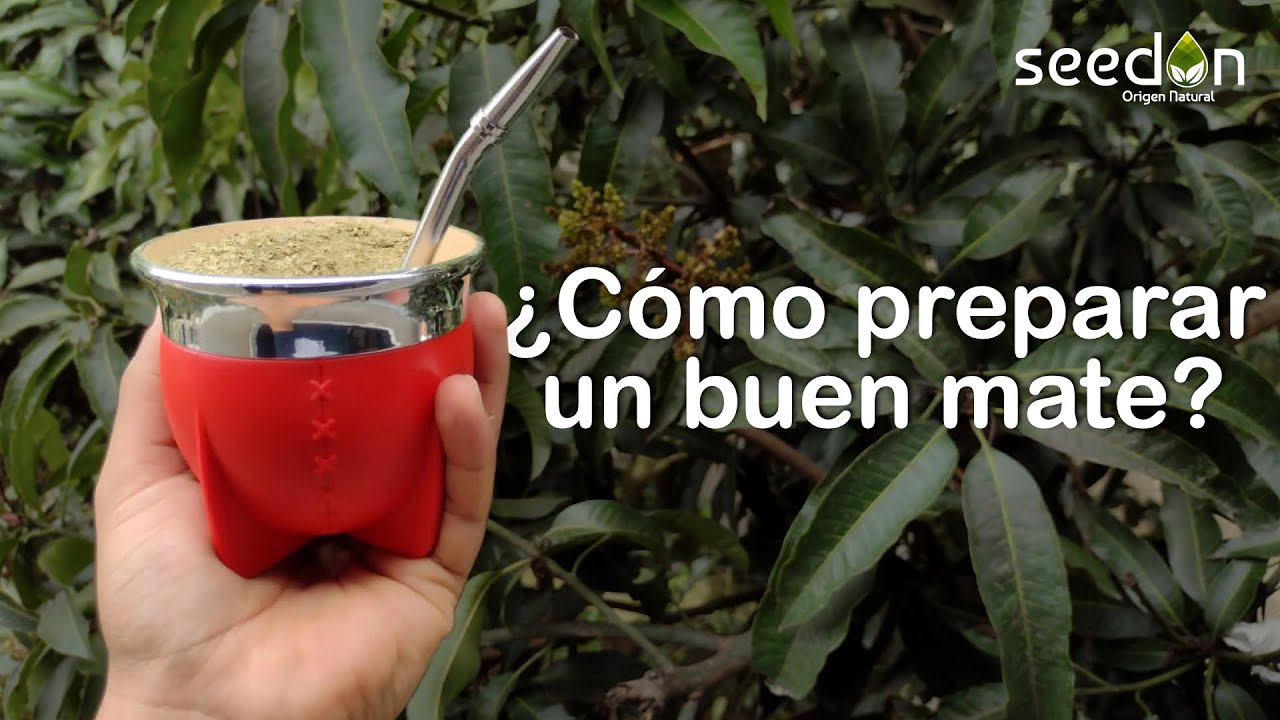 Yerba Mate | Cómo preparar un buen mate - YouTube
