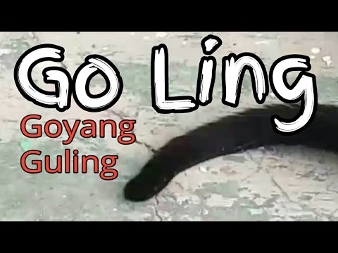 Goyang Guling