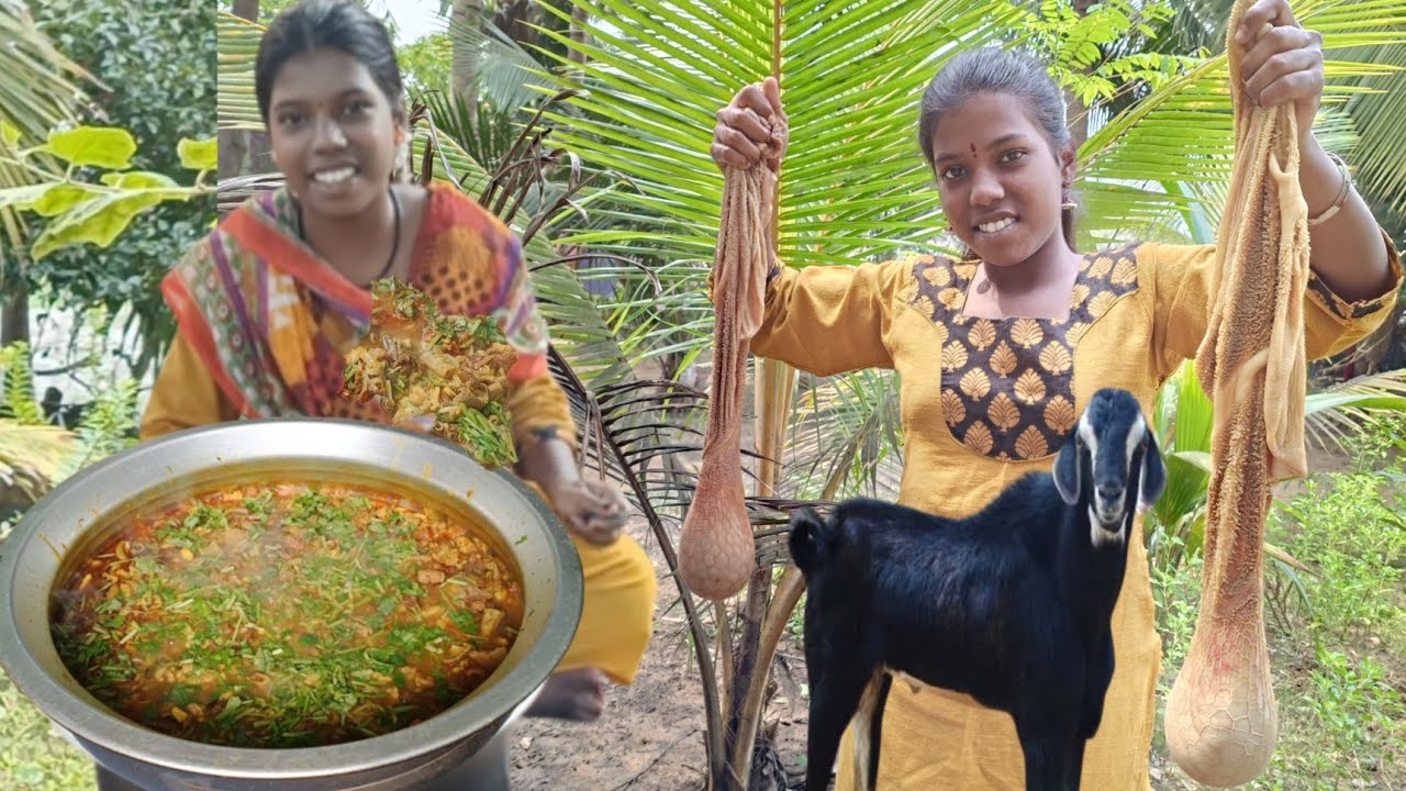 Goat intestine gravy | cooking goat Boti | clean goat Intestine ...