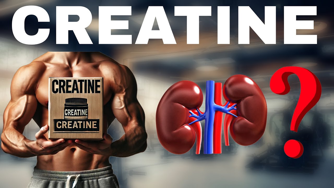 Is Creatine Really Bad For Your Kidneys? - YouTube