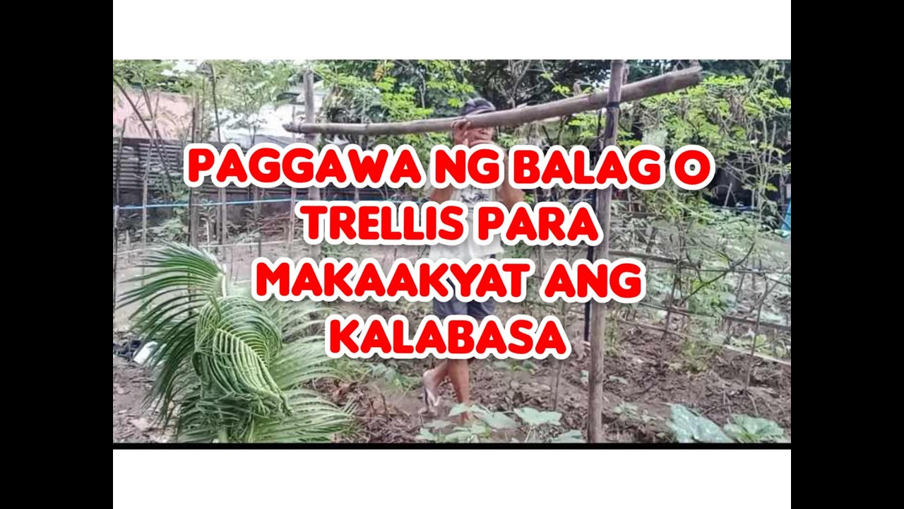 gumawa tayo ng balag para sa kalabasa gamit ang mga kahoy - YouTube