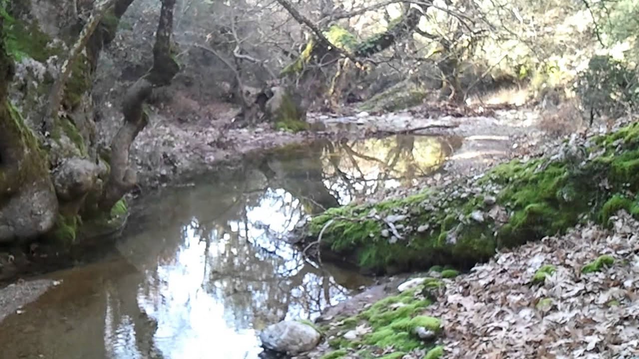 Η ΡυπανσΗ ΤοΥ ΠεριβαλλοντοΣ - YouTube