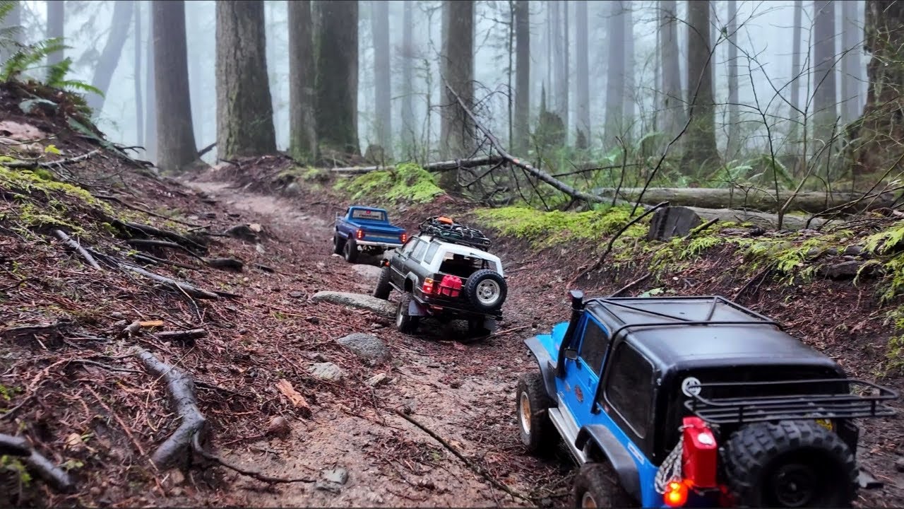 RC scale Off-road showdown: Toyota, Jeep, and Ford Foggy Forest Trail ...