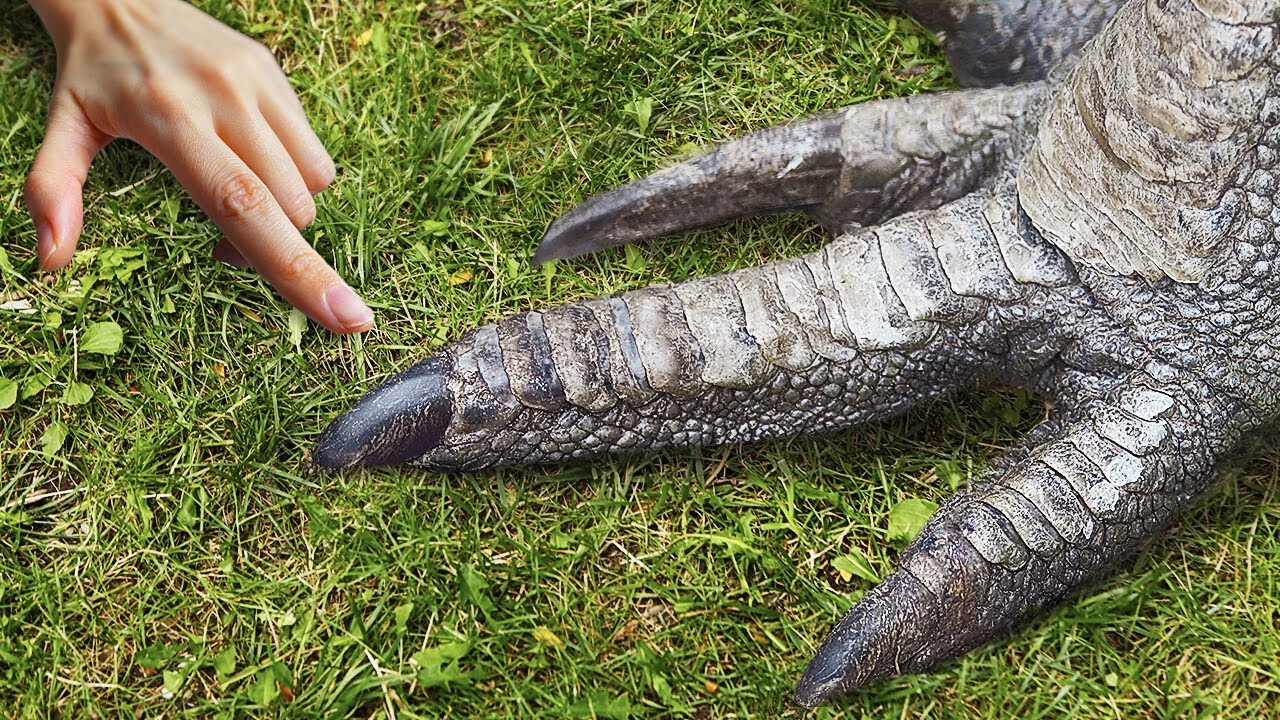 20+ Wild Creatures That Will Send Chills Down Your Spine - YouTube