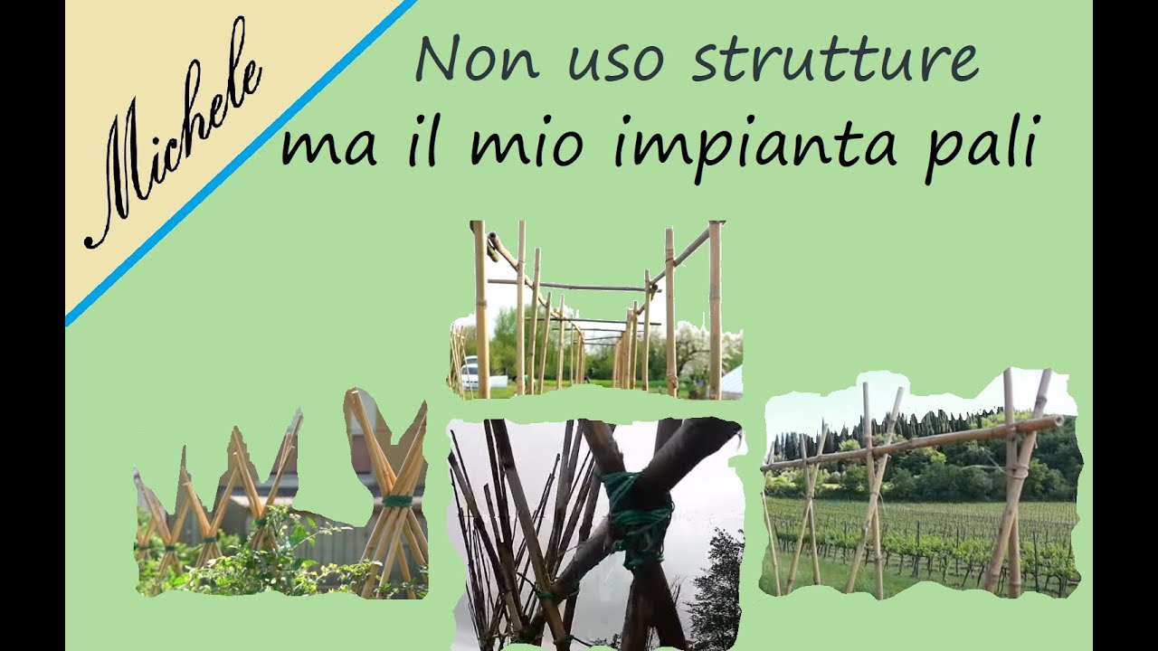 impianta pali per sostenere le piante dell'orto senza strutture - YouTube