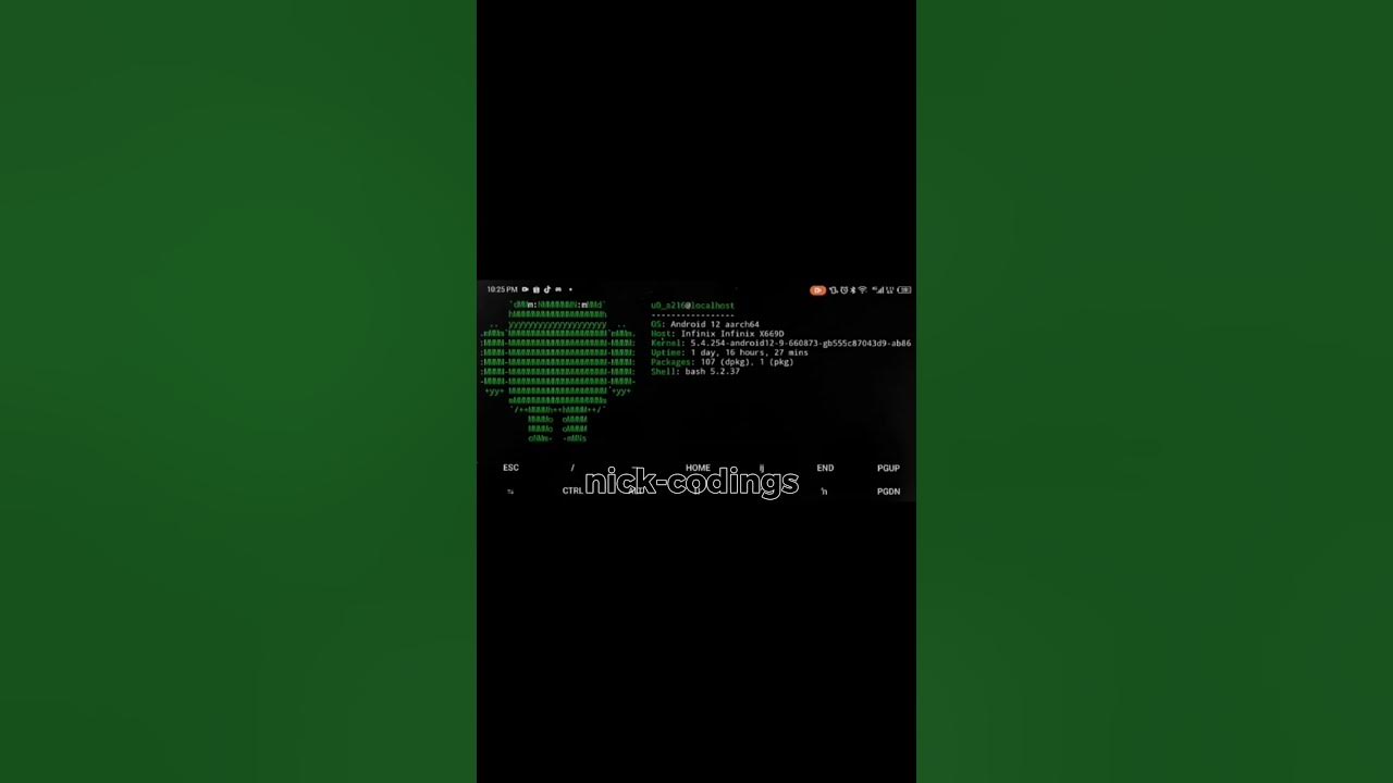 Testing The Run Function Of My Custom Scripting Language In Different Structures If It Works