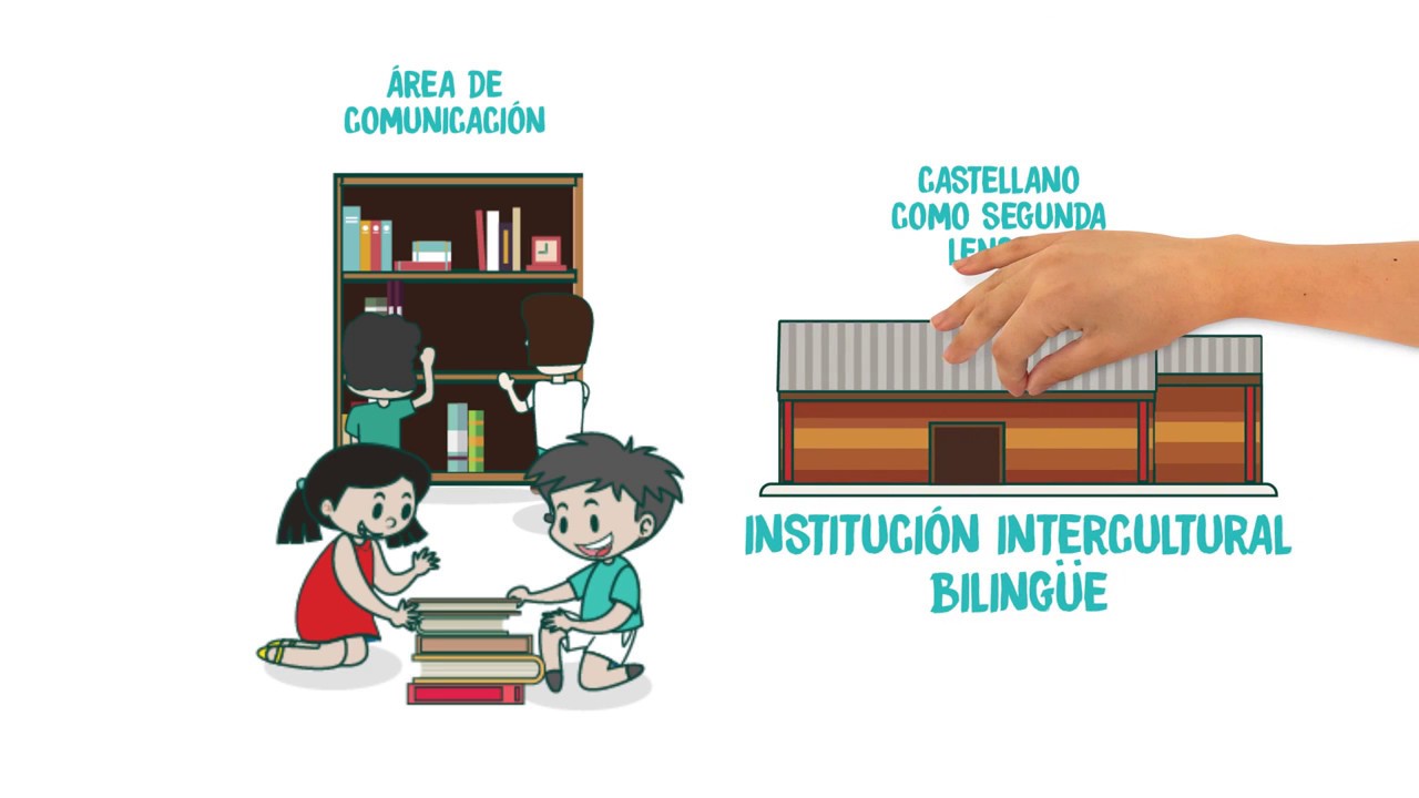 Áreas curriculares y planes de estudio CNEB - YouTube