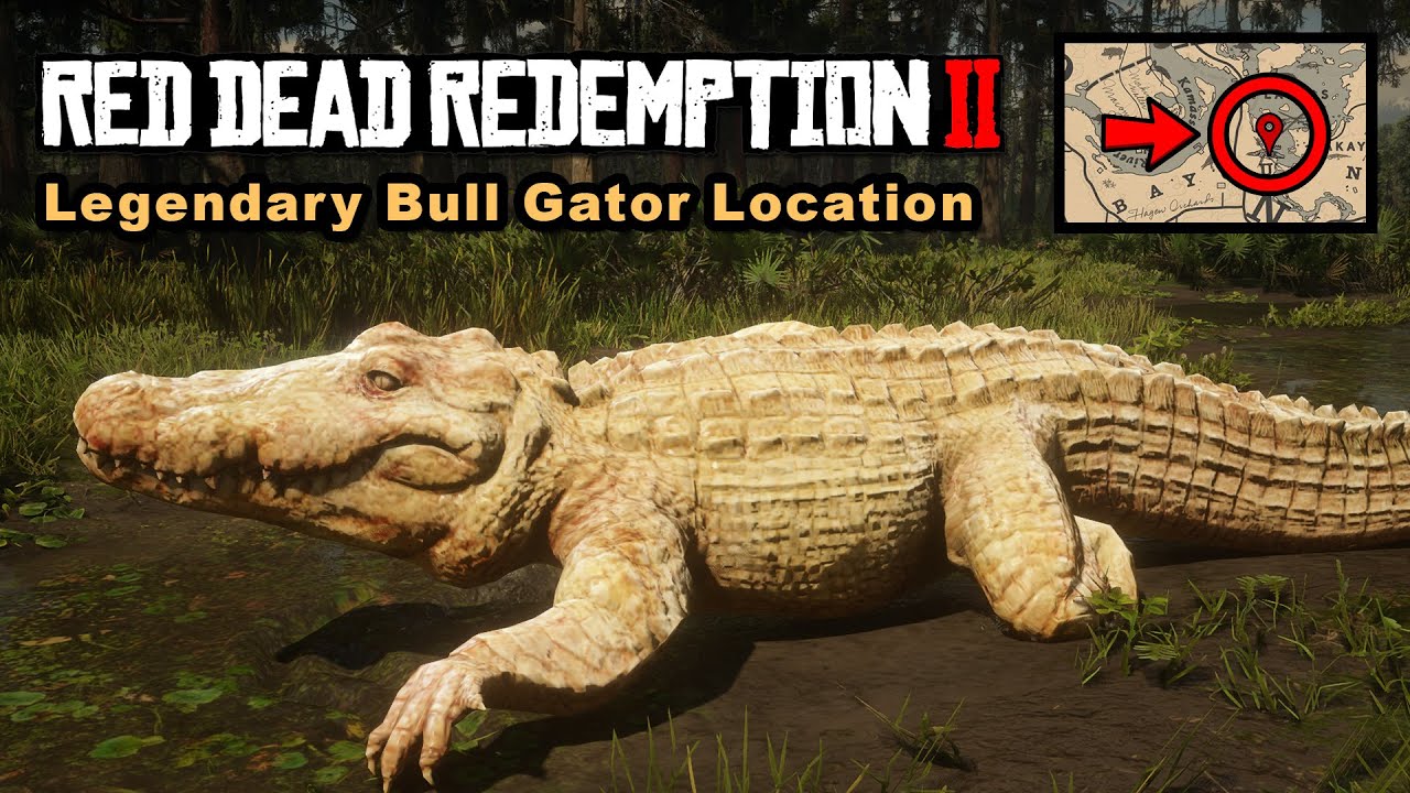 Legendary Bull Gator location - Red Dead Redemption 2 - YouTube