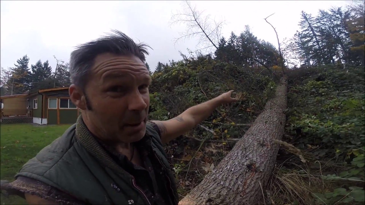 3 BAD TREES,, and a lot of fun. - YouTube