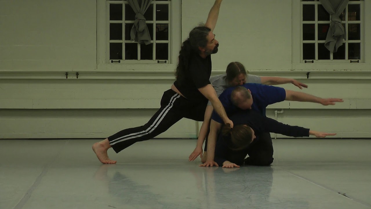 Human Landscape Dance--Cascade 2/13/20 - YouTube