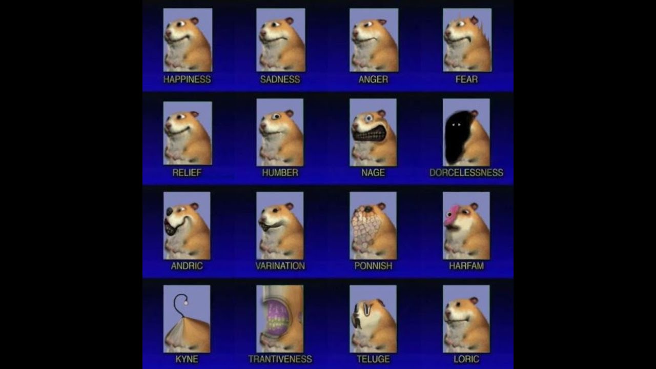 How to Find "Advanced Expressions Chomik" In Find the Chomiks (Read ...