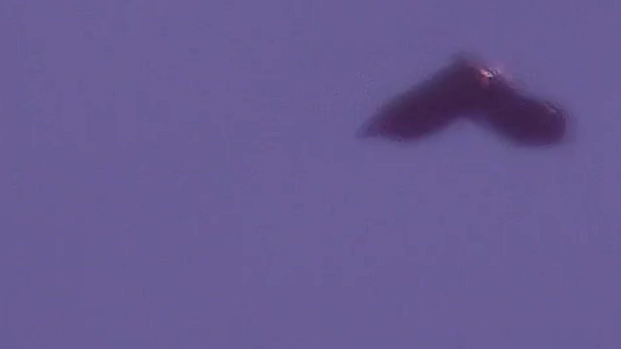 Anomalies as Biological Entities. - YouTube