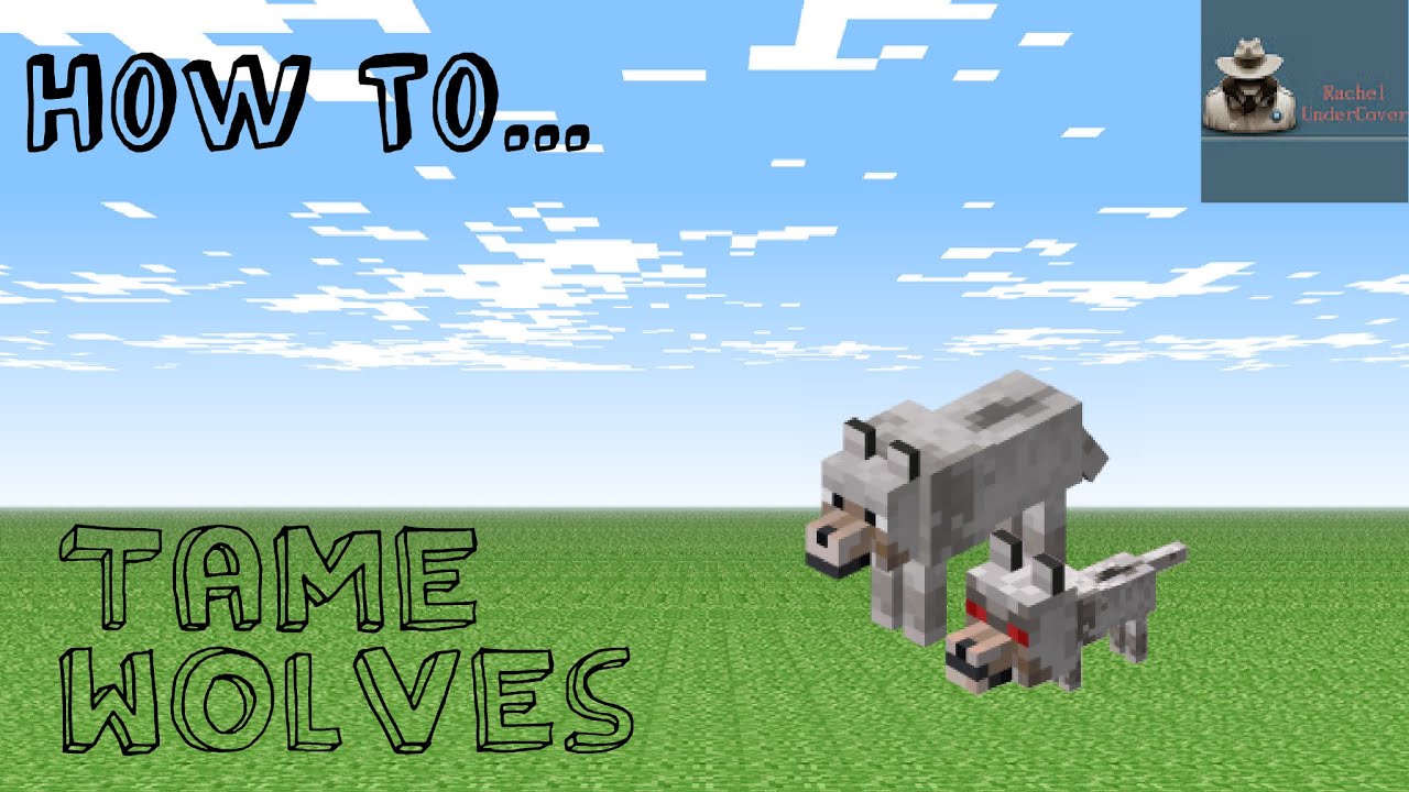Minecraft How to....tame a wolf #1 - YouTube