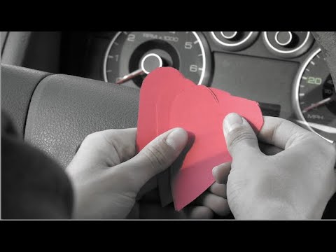 Spread Love - PTA Reflections Short Film