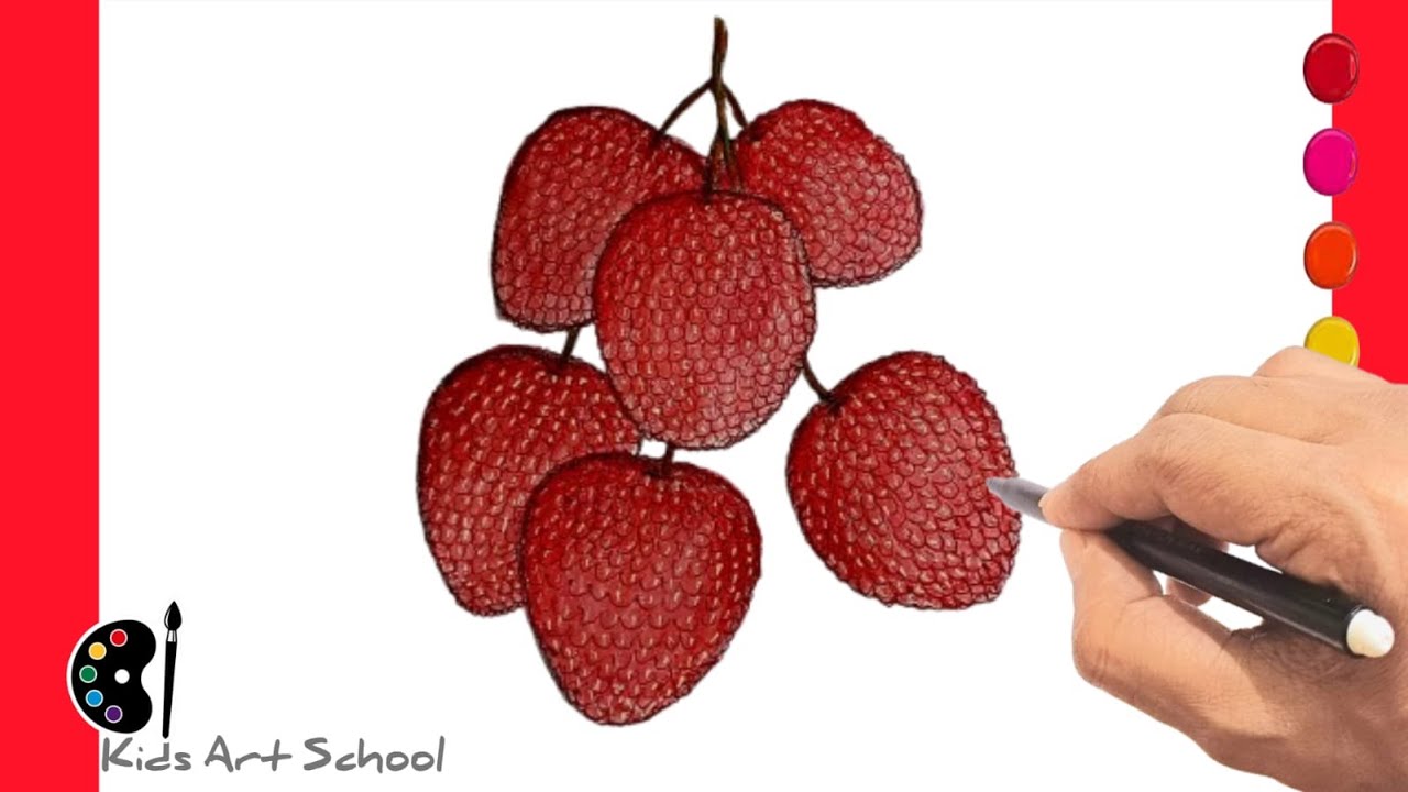 Lichi Drawing| Lichi Drawing for Kids |Lichi Drawing Step by Step |Easy ...
