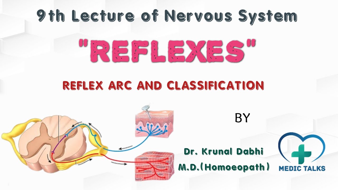 Reflexes| Definition | Reflex Arc | Classification | Dr Krunal Dabhi (M ...