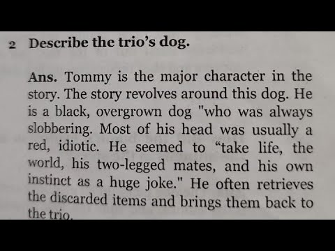 The Loaded Dog(Henry Lawson)||Question Answers||By Education Hub - YouTube