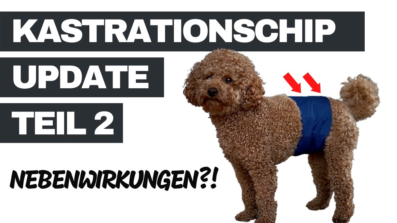 Kastration Rude Erfahrungen