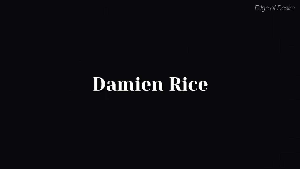 Damien Rice - Accidental Babies (Tradução) - YouTube